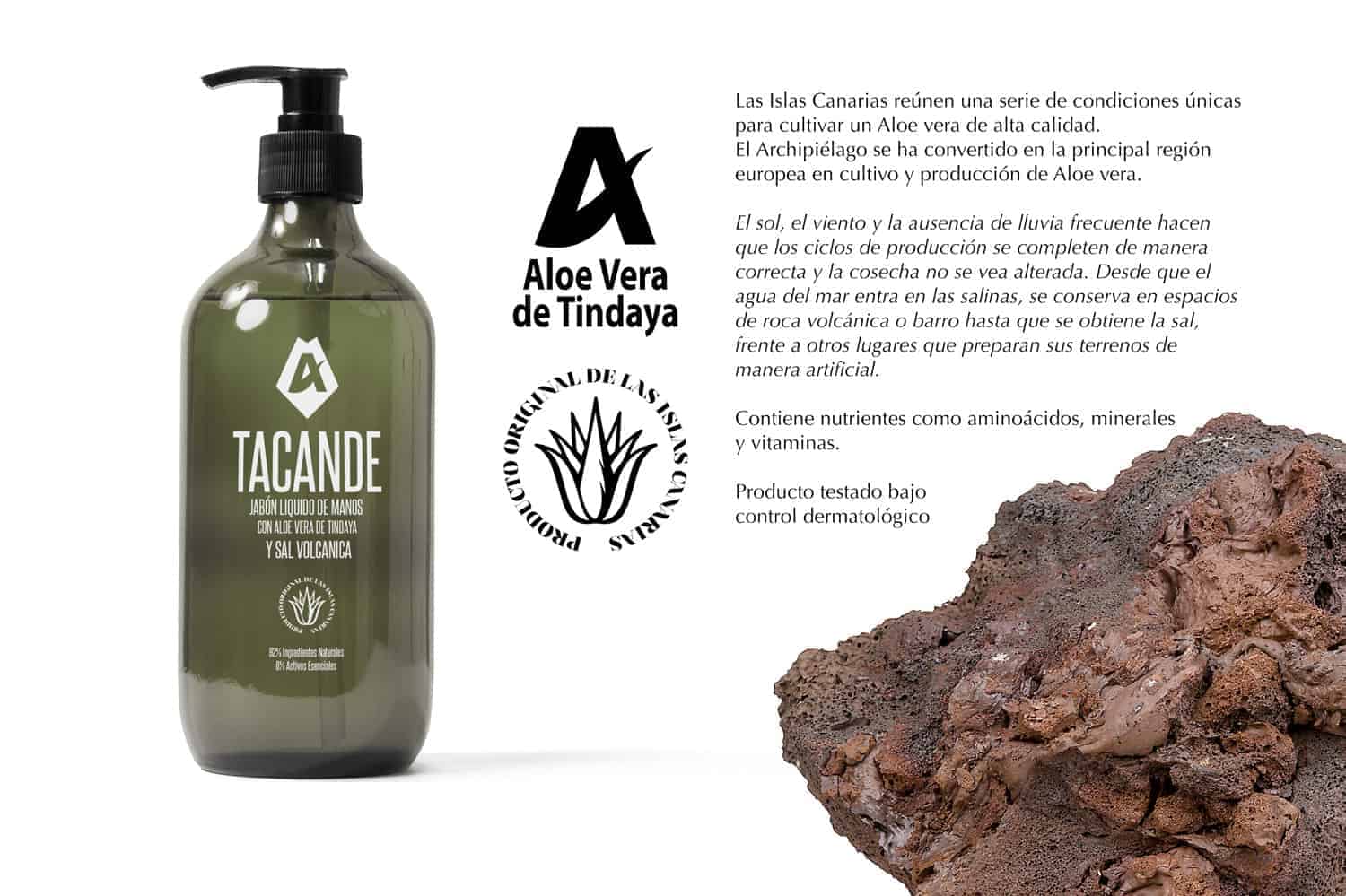 ALOE VERA TENDAYA | Design Ideas