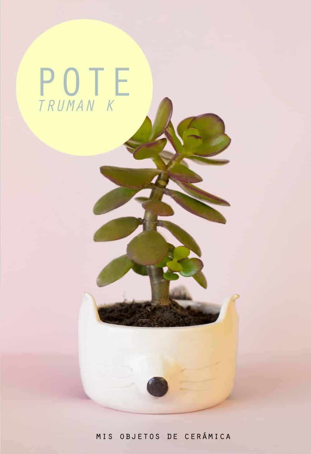 Pote | Design Ideas